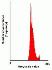 Difference Between Histogram Equalization and Histogram Matching