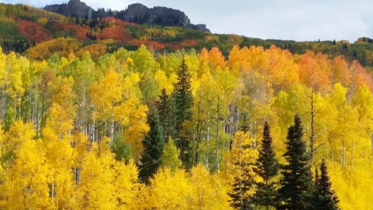 How To Do Histogram Matching Using Opencv