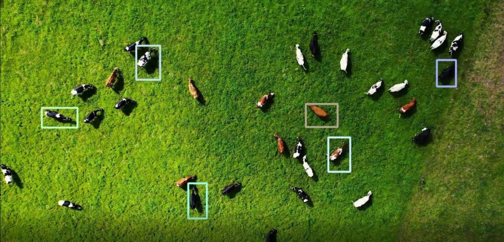 How To Do Multiple Object Tracking Using Opencv